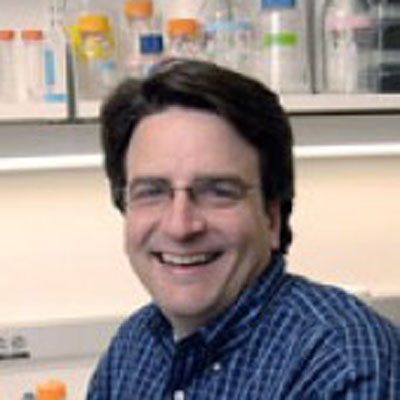 Research - Pitt Hopkins Research Foundation